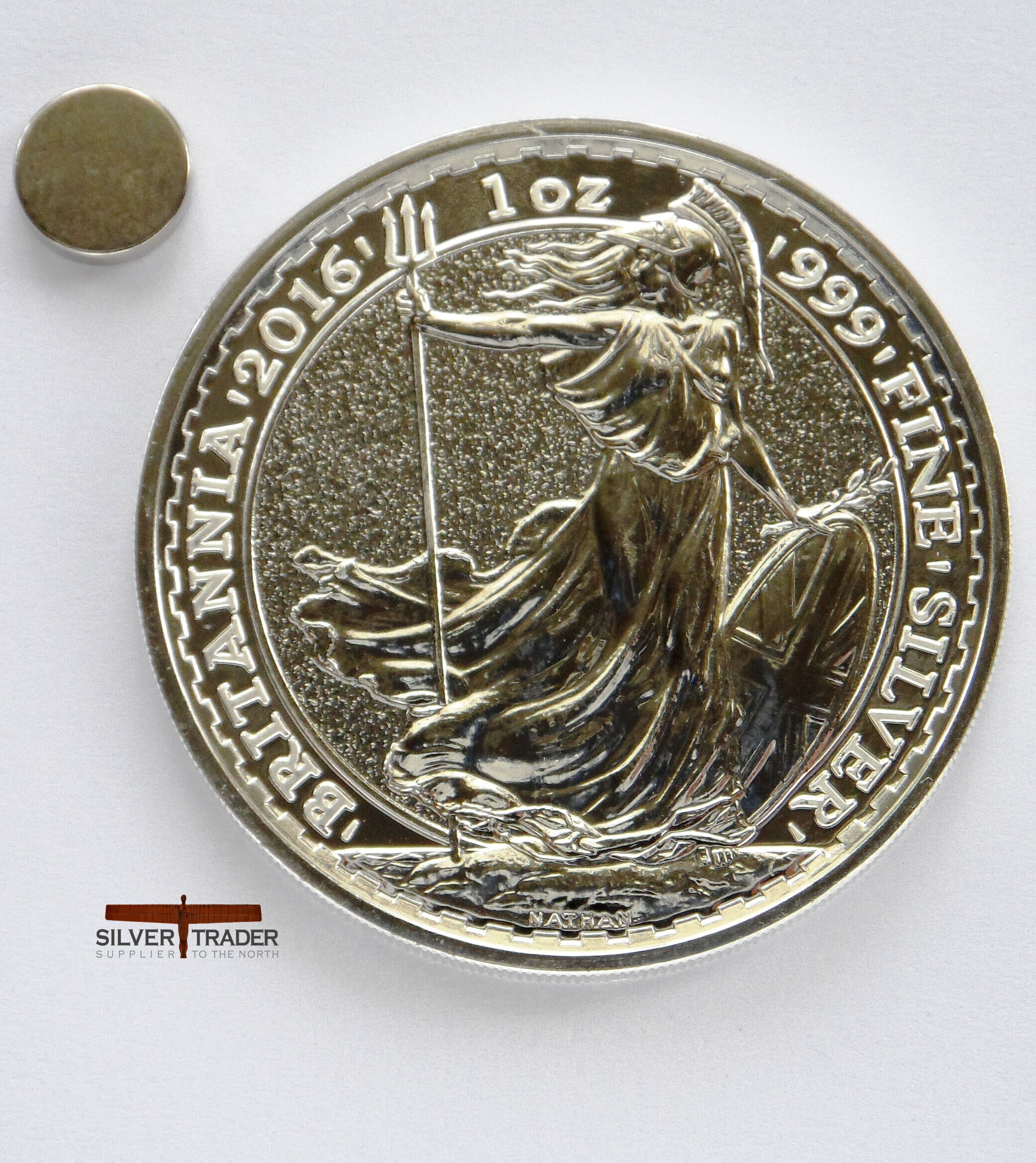 Neodymium Rare Earth Magnet