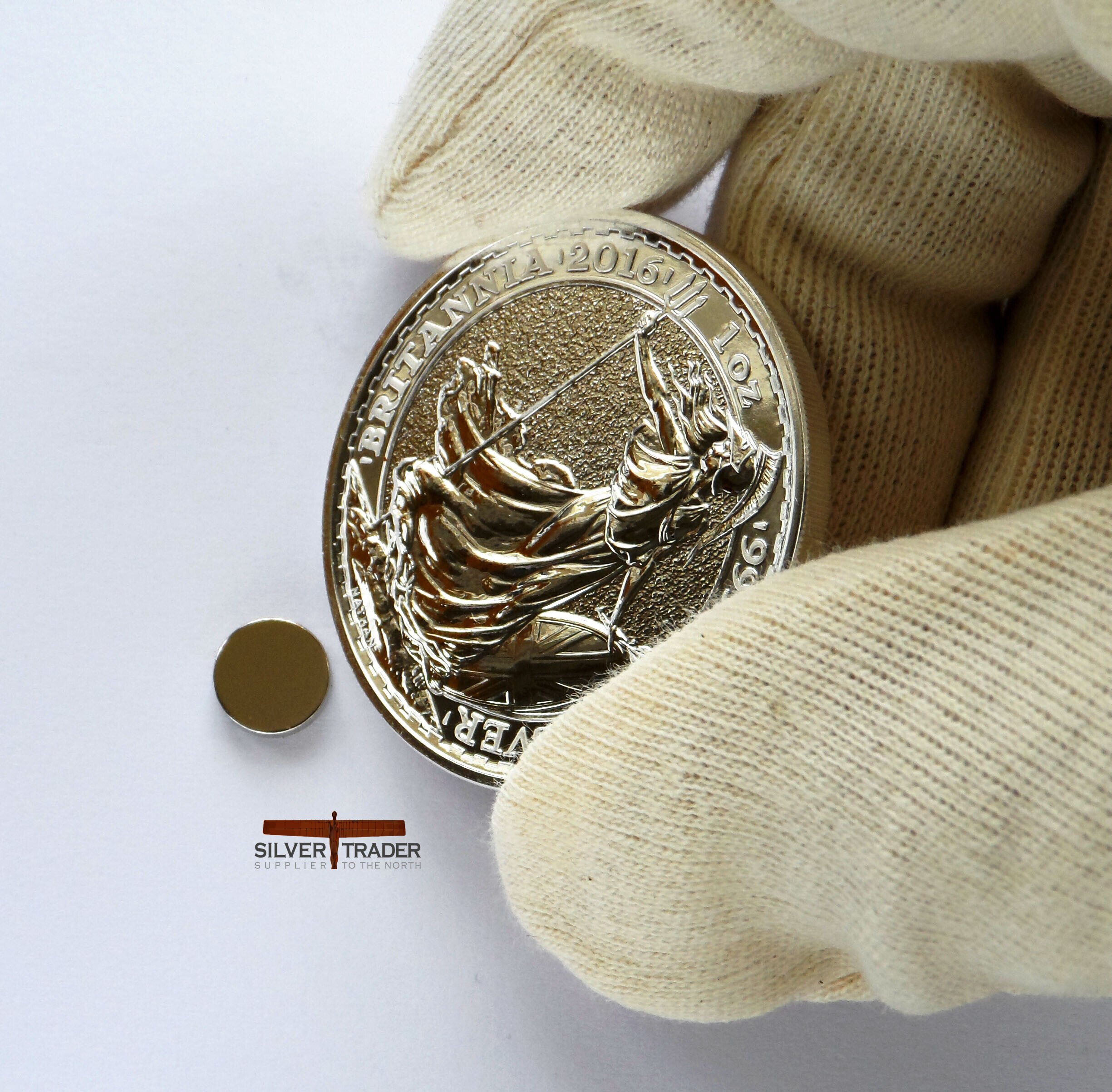Neodymium Rare Earth Magnet