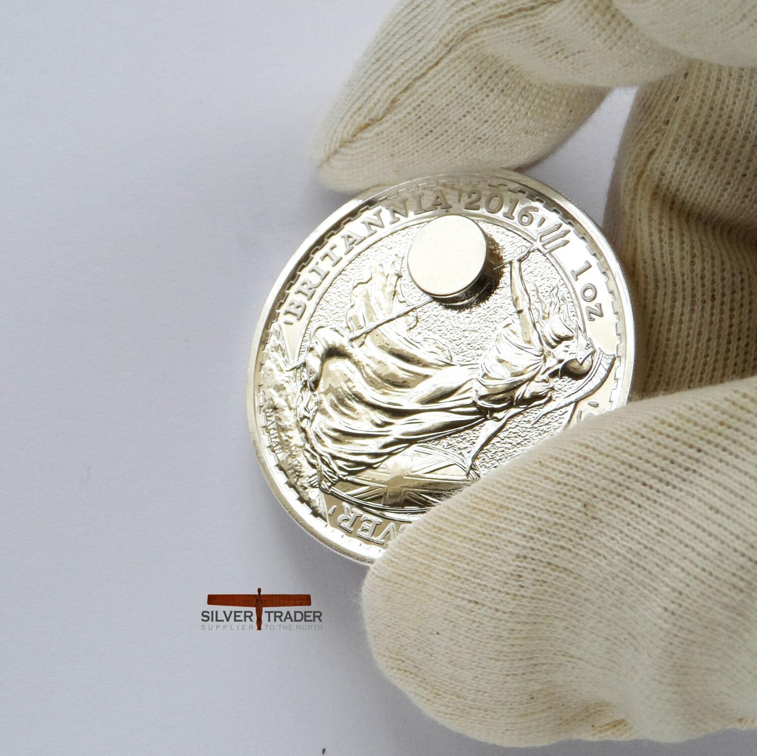 Neodymium Rare Earth Magnet